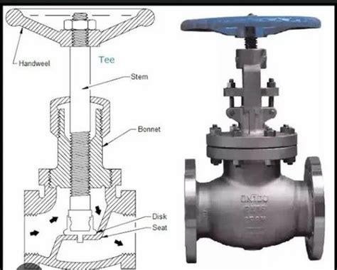 Globe Valve Tee Pattern Globe Valve Manufacturer From Vadodara