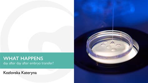 What Happens Day After Day After Embryo Transfer — Клініка