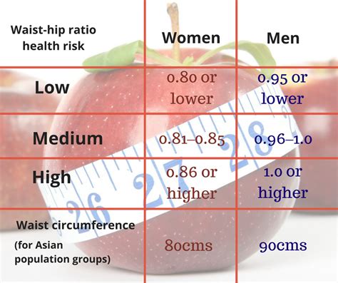 Waist Hip Ratio Vs Waist Circumference At Tayla Mein Blog
