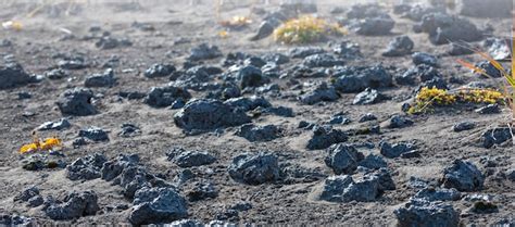 Premium Photo View Of Black Sand Volcanic Desert And Stone On