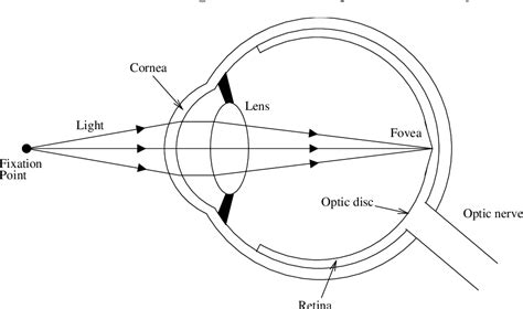 Figure 11 From Visual Tracking And Grasping Of A Dynamic Object From The Human Example To An