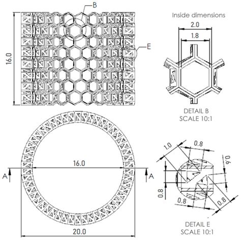 Sponge Skeleton Cross Section