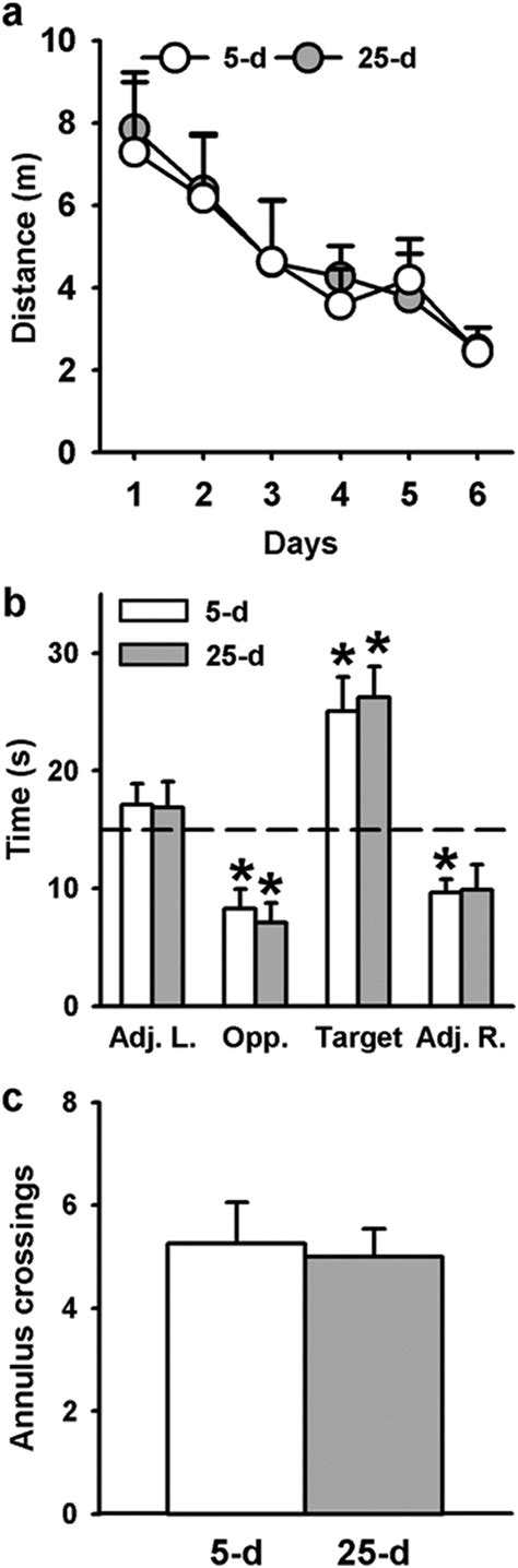 Spatial Memory Performance During Acquisition And Retrieval In The