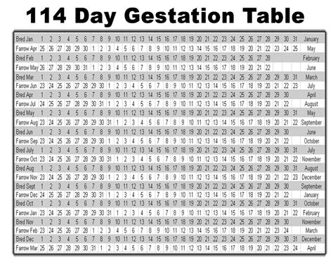 Cattle Gestation Period Chart Educational Chart Resources