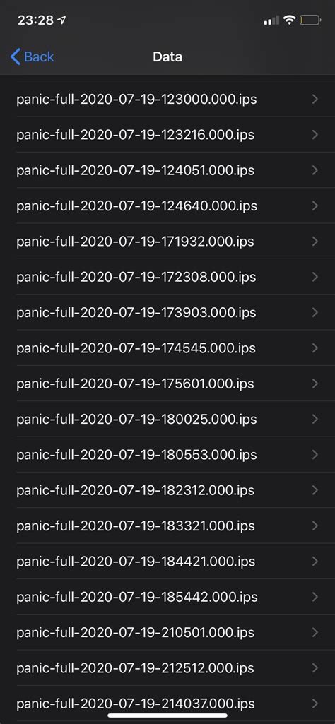 Ios 14 Dev B2 Frequent Kernel Panic Riosbeta