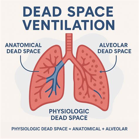 Dead Space Ventilation Overview And Practice Questions