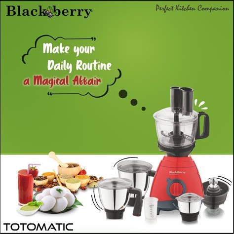 Grinding Stainless Steel Blackberry Totomatic Food Processor For