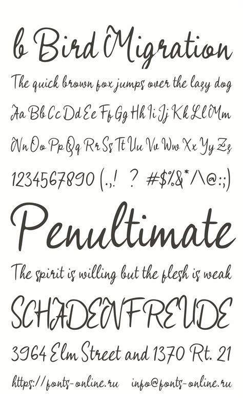 B Bird Migration Font