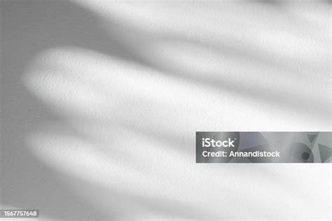 시멘트 바닥 배경에 나뭇잎 그림자가 있는 콘크리트 벽 질감 빈 흰색 테이블 상판이 있는 회색 스튜디오 룸 배경 봄 또는 여름 화장품 전시 모형 뷰티 프레젠테이션 0명에 대한