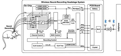 Figure 2 From A Wireless Headstage System Based On Neural Recording