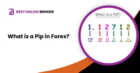 What Is A Pip In Forex Best Online Brokers