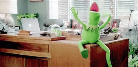 Kermit  Excited Happy Frog Discover And Share S