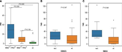 Discrepancies Of Tmb Between Kras Tp53 Cdkn2a And Smad4 Somatic