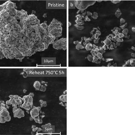 Sem Micrographs Of A Ni Powder From Vendor 1 And B Electrolytic