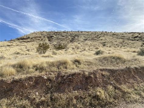 Considering Both Cost And Efficacy Cheatgrass Removal And Rangeland
