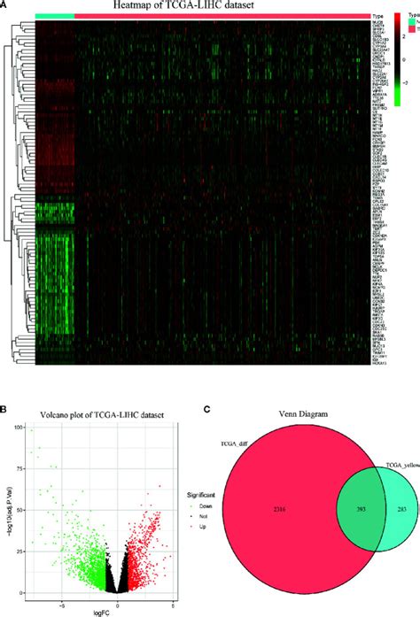 Identification Of A Novel Four Gene Signature Correlated With The Prognosis Of Patients With