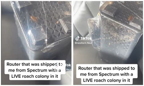 Woman Says Spectrum Sent Her A Brand New Router With A Roach Colony Inside Hollywood Unlocked
