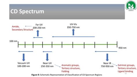 Circular Dichroism Spectroscopy Pptx