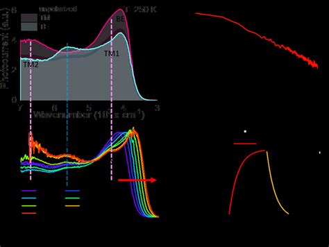 Detection Properties Of The Gmr Electrodes A Experimental Download Scientific Diagram