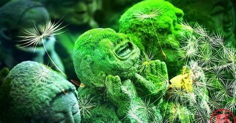 法歸探源 苦集聖諦 有六處故有觸（saḷāyatane Sati Phasso Hoti）