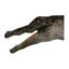 Crocodile Head Shroud Of The Avatar Wiki Sota