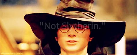 Did Anyone Else Get To Choose Which House They Got Tumbex