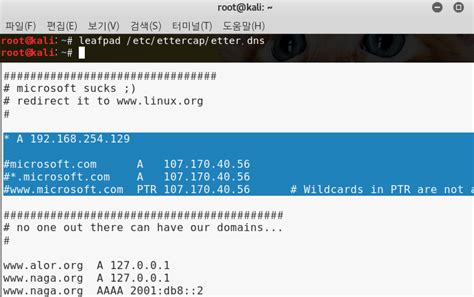 DNS Spoofing 악성코드 배포 리버싱 저장소