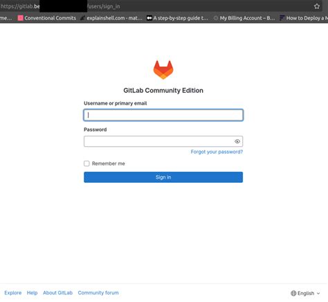 Setting Up A Gitlab Server On A Raspberry Pi 4 Dev Community