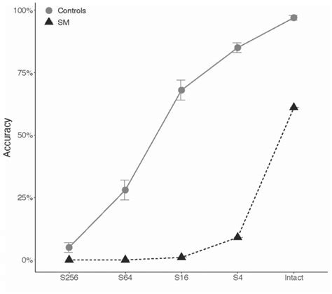 object recognition performance mean accuracy of recognition as a