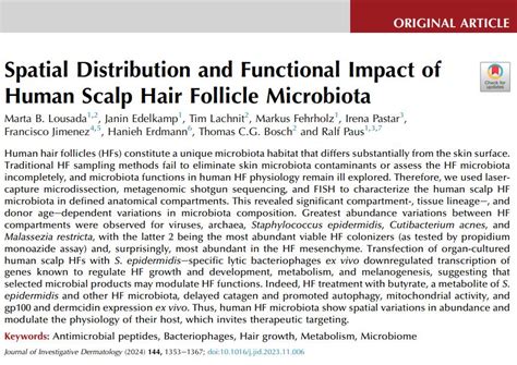 Spatial Distribution And Functional Impact Of Human Scalp Hair Follicle