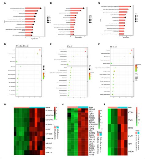 Analysis Of Common Differential Genes In The Testis Transcriptomes Of
