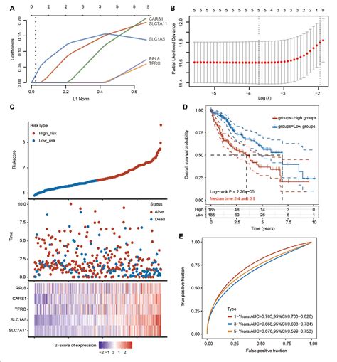 Figure 1 From Development And Validation Of A Novel Ferroptosis Related Gene Signature For