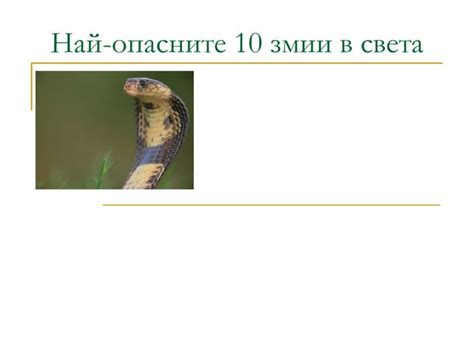 10 те най опасни змии в света Ppt