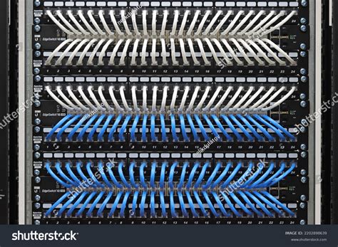 Connecting Ethernet Switch Using Patch Cords Stock Photo 2202898639 Shutterstock