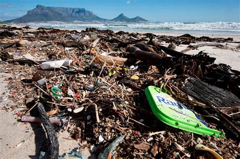 Bob Lorentson The Great Pacific Garbage Patch And Us