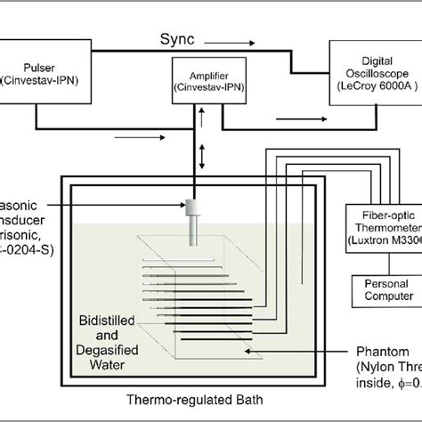 3 Block Diagram Illustrating The Quadrature Demodulation Of Ultrasonic