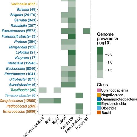 Bacteriocin Gene Distribution In Gut Bacterial Genomes The Figure