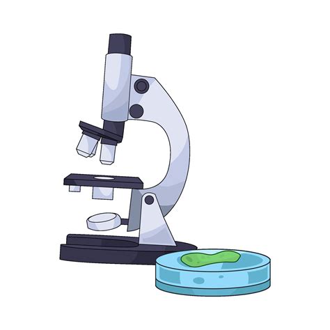 Microscopes And Samples 49688161 Vector Art At Vecteezy