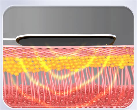 Medium Frequency Electrotherapy Equipment Towell Health