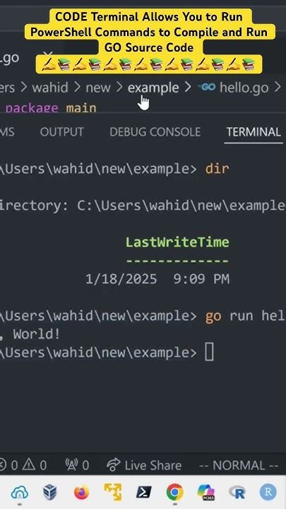 Code Terminal Allows You To Run Powershell Commands To Compile And Run Go Source Code Youtube