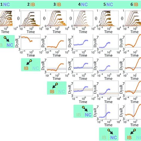 A Combined Algorithm To Distinguish Between Ib And Nc Models Based On
