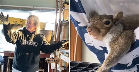Generous Woman Builds Treehouse For Baby Squirrel That Wouldnt Leave Her Madly Odd