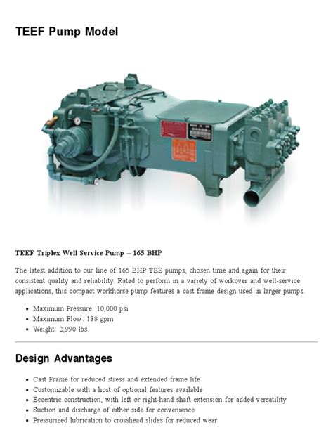 Teef Pump Model Design Advantages Pdf Horsepower Pump