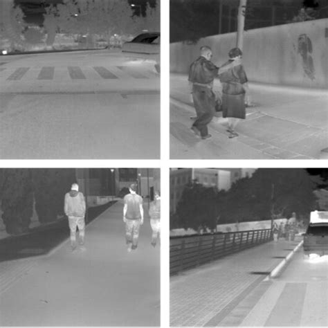 Mmsr Network Structure Which Is Divided Into Feature Extraction Branch Download Scientific