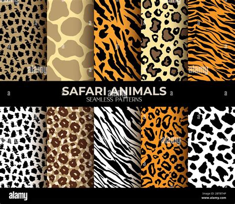 Animal Fur Seamless Patterns Set Leopard Tiger And Zebra Vector