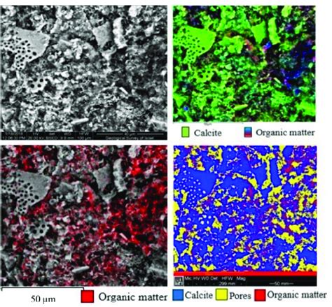 Sem Upper Left And Sem Eds Images Showing Calcite Organic Matter Download Scientific