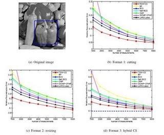 Nuit Blanche CS Bayesian Compressive Sensing Availability Of TSW CS And BCS VB Codes