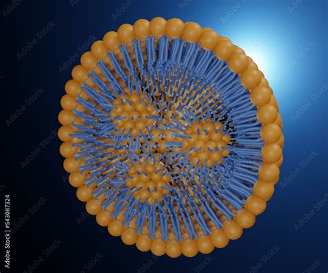Isolated Lipid Nanoparticle For Drug Delivery Without Cholesterol D Rendering Stock