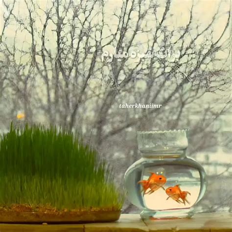 کلیپ عید بدون پدر آسمانی