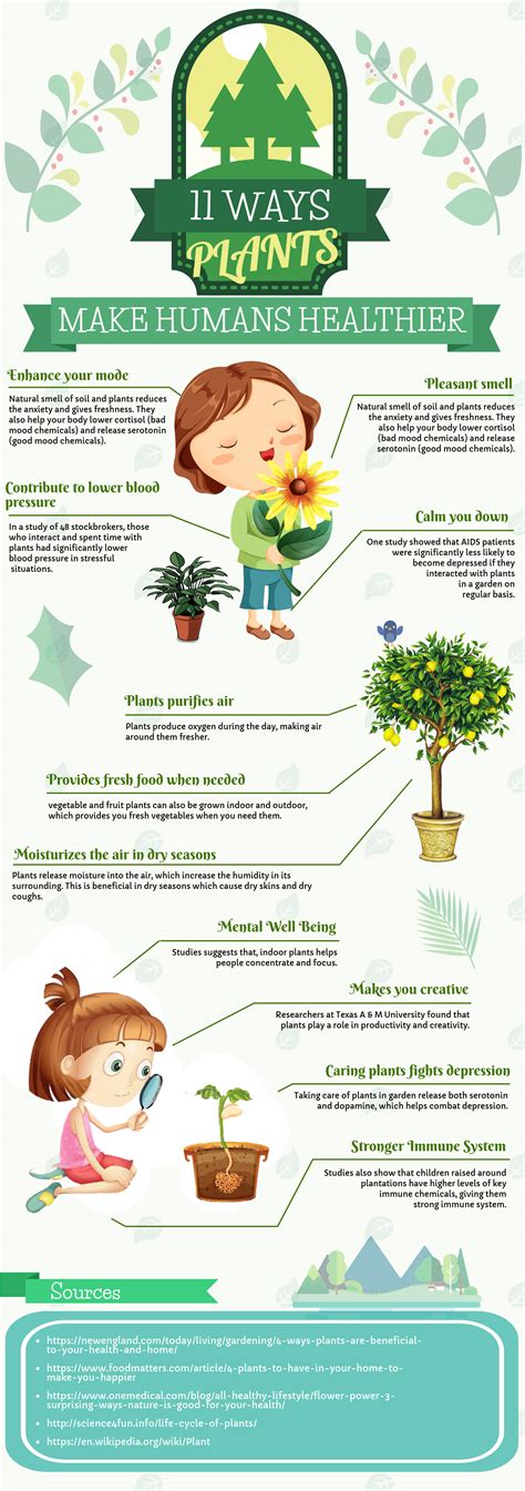 Why Plants Are Important Why Are Green Plants Important To The